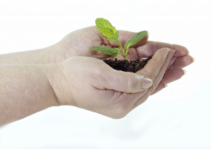 The Sentient Nature of Plants - Go Live Pure